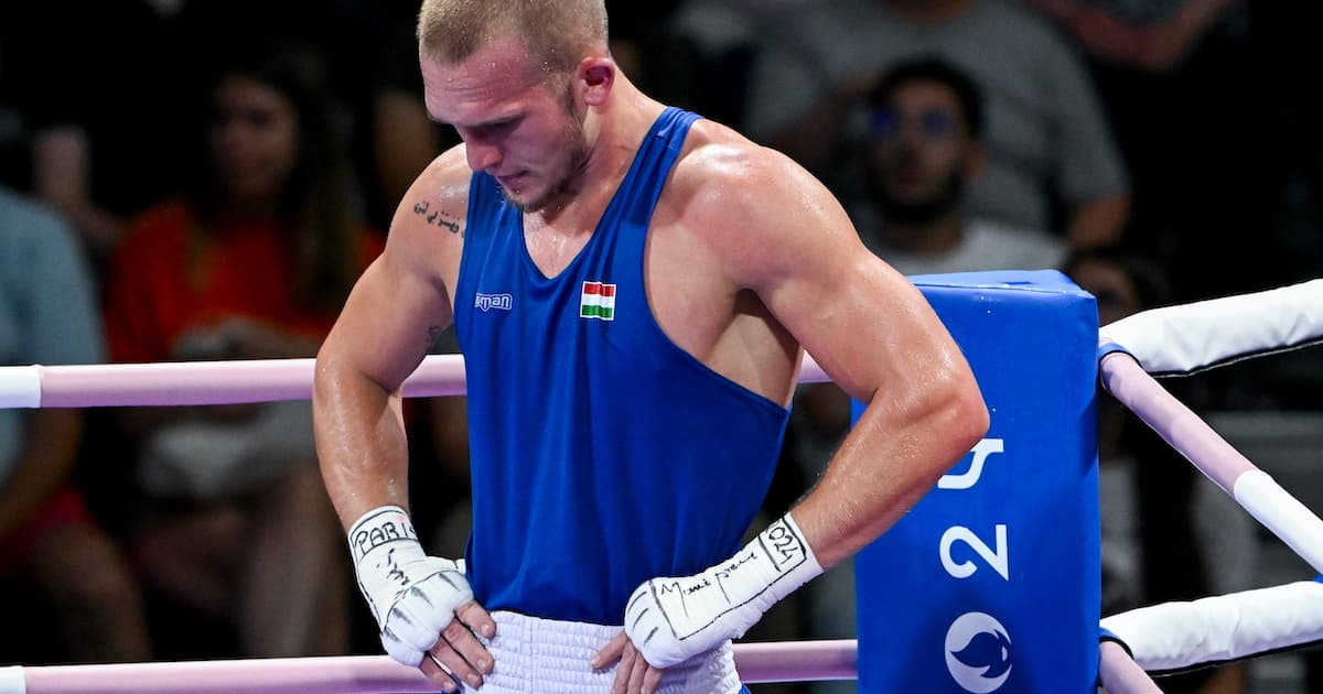 The Best Professional Boxers in Hungary - Sbxboxing